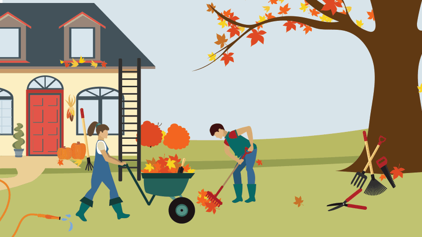 Autumn is a Good Time for Property Maintenance | KEN WYDER